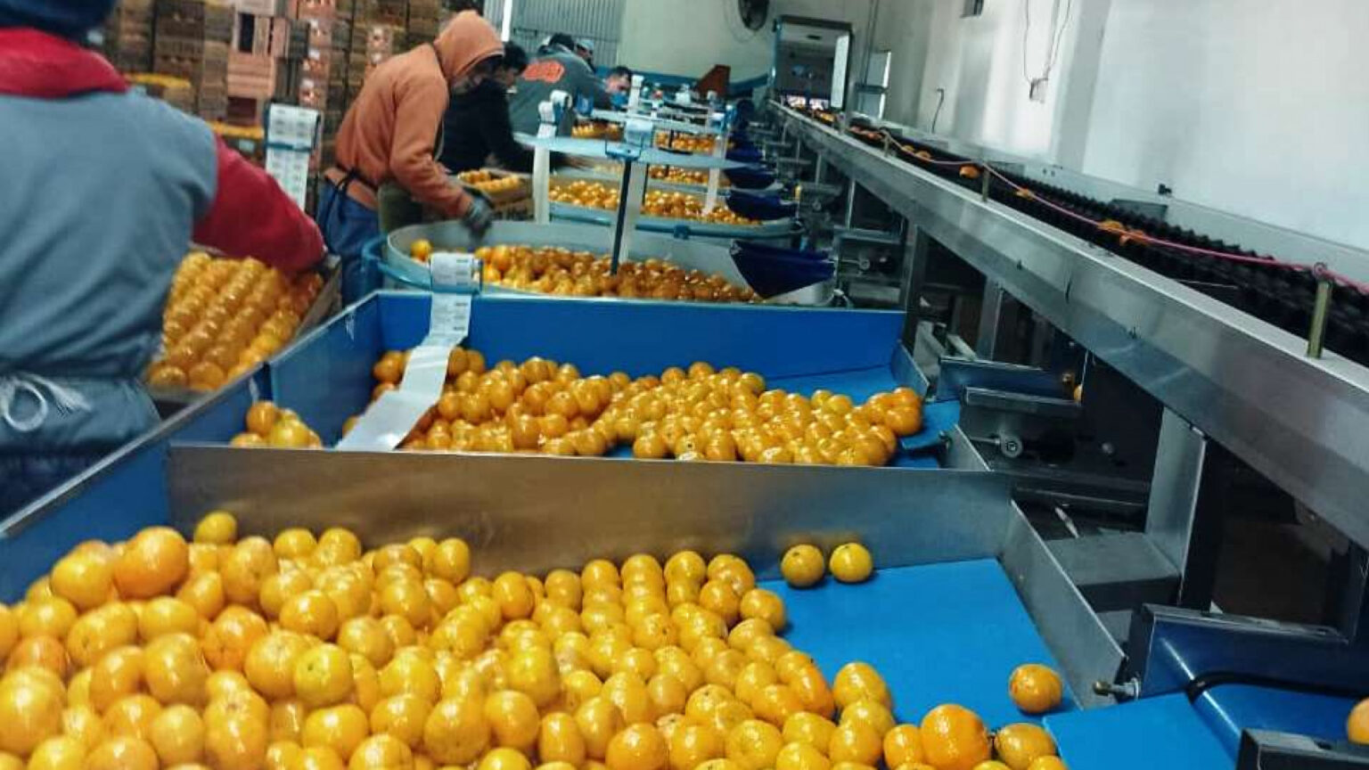 Entre Ríos: Verificación en 25 establecimientos elaboradores y ...